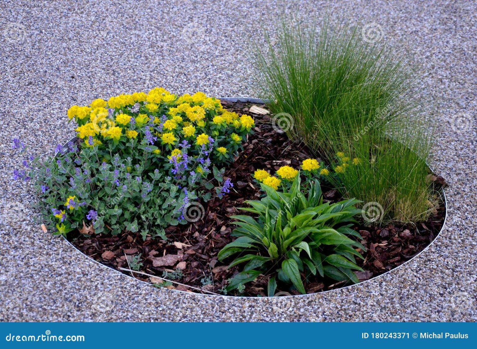 Discover The BEAUTY Of A Circular Garden In Full Bloom