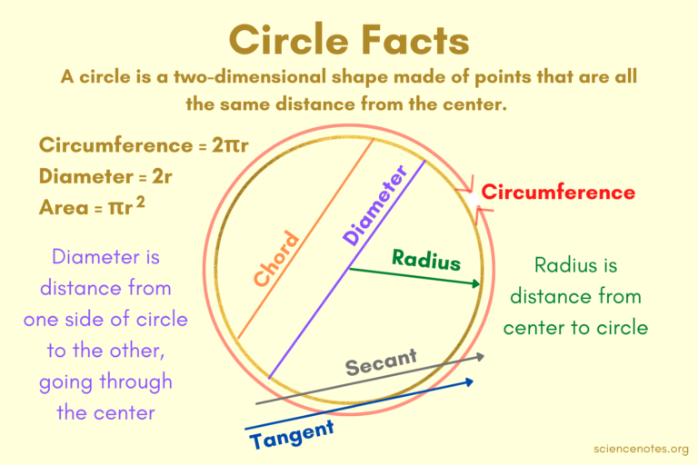 Calculating The Circumference Of A Soda Can: A Simple Guide For Beginners