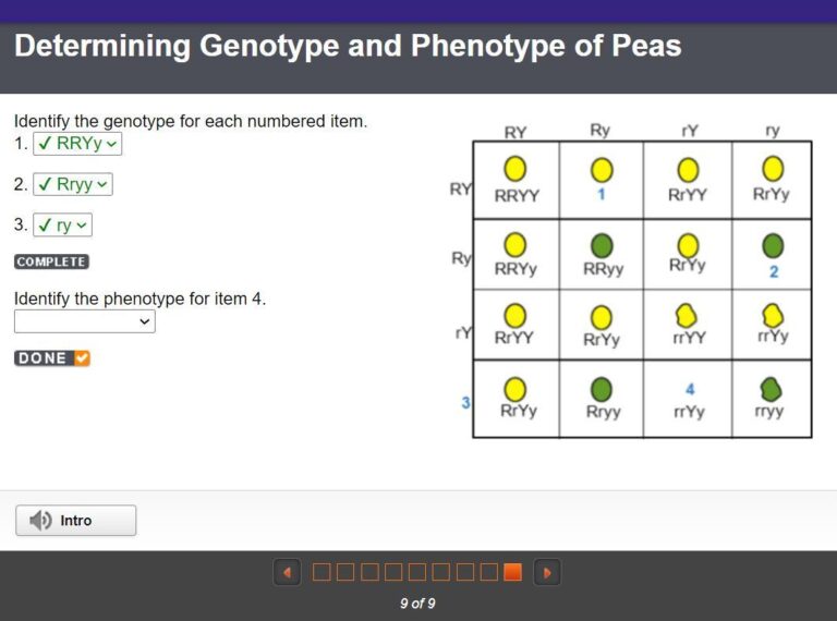 Find Genotype For Items 1 2 3