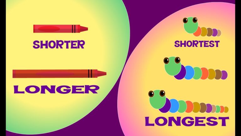Organize Measurements: LONGEST To SHORTEST Length