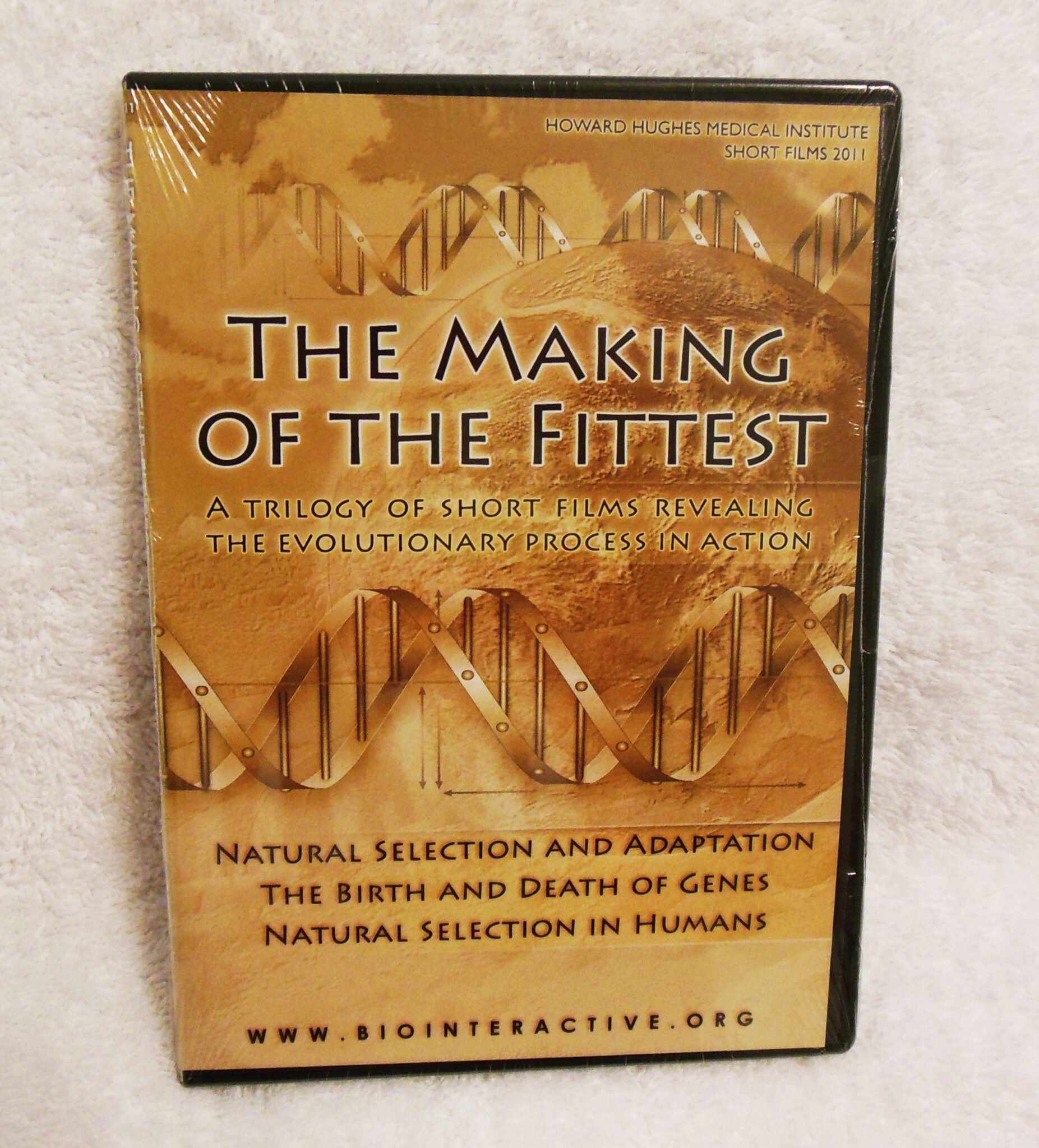 Unveil The SECRETS Of Human Natural Selection - Explore The MAKING Of ...