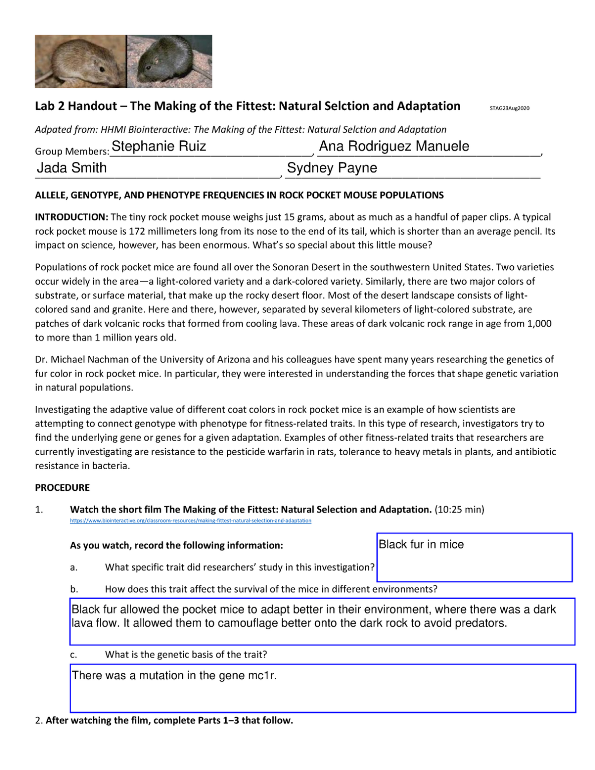 The Making Of The Fittest: Natural Selection Answer Key Revealed