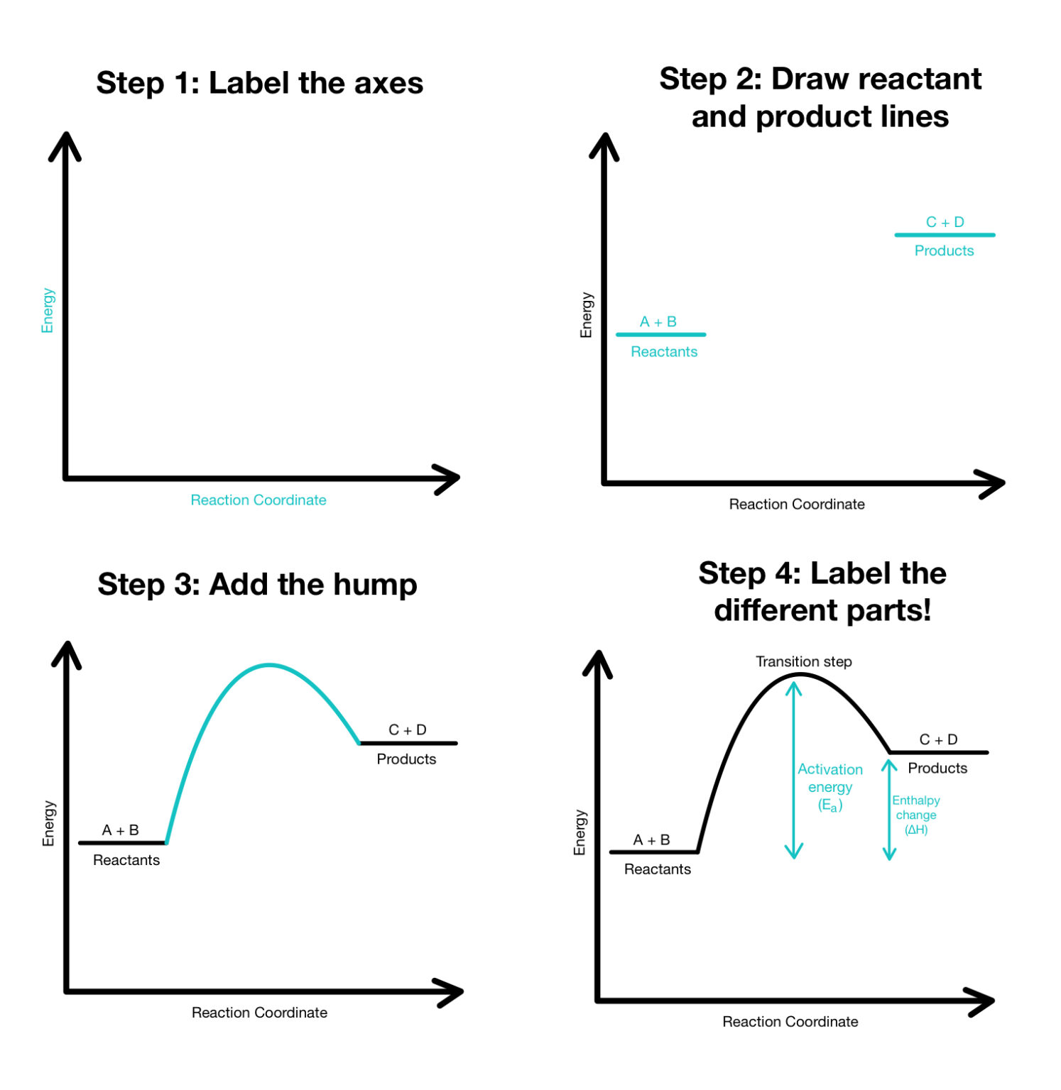 Visualizing The End Result: Drawing The Final Product Of Reaction Series