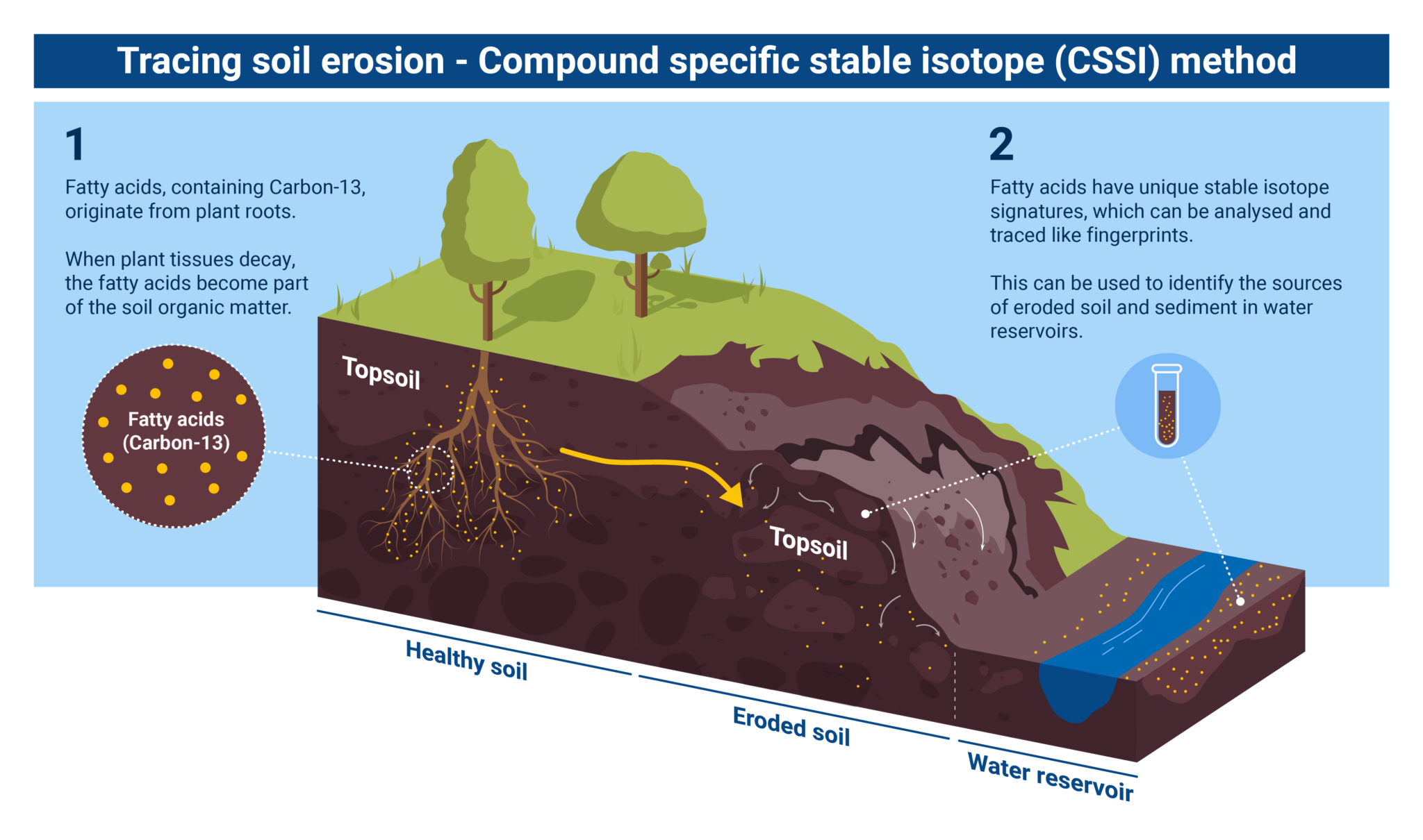 What Caused The Soil Erosion Seen Here?
